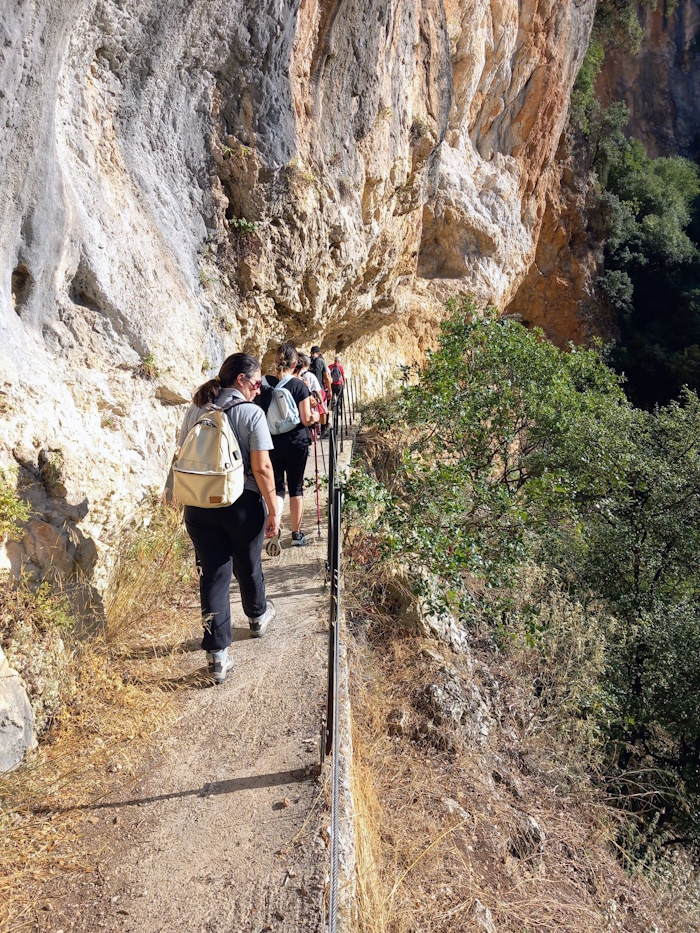 Ελληνικός Ορειβατικός Σύλλογος Σπάρτης - Απογευματινός περίπατος την ...
